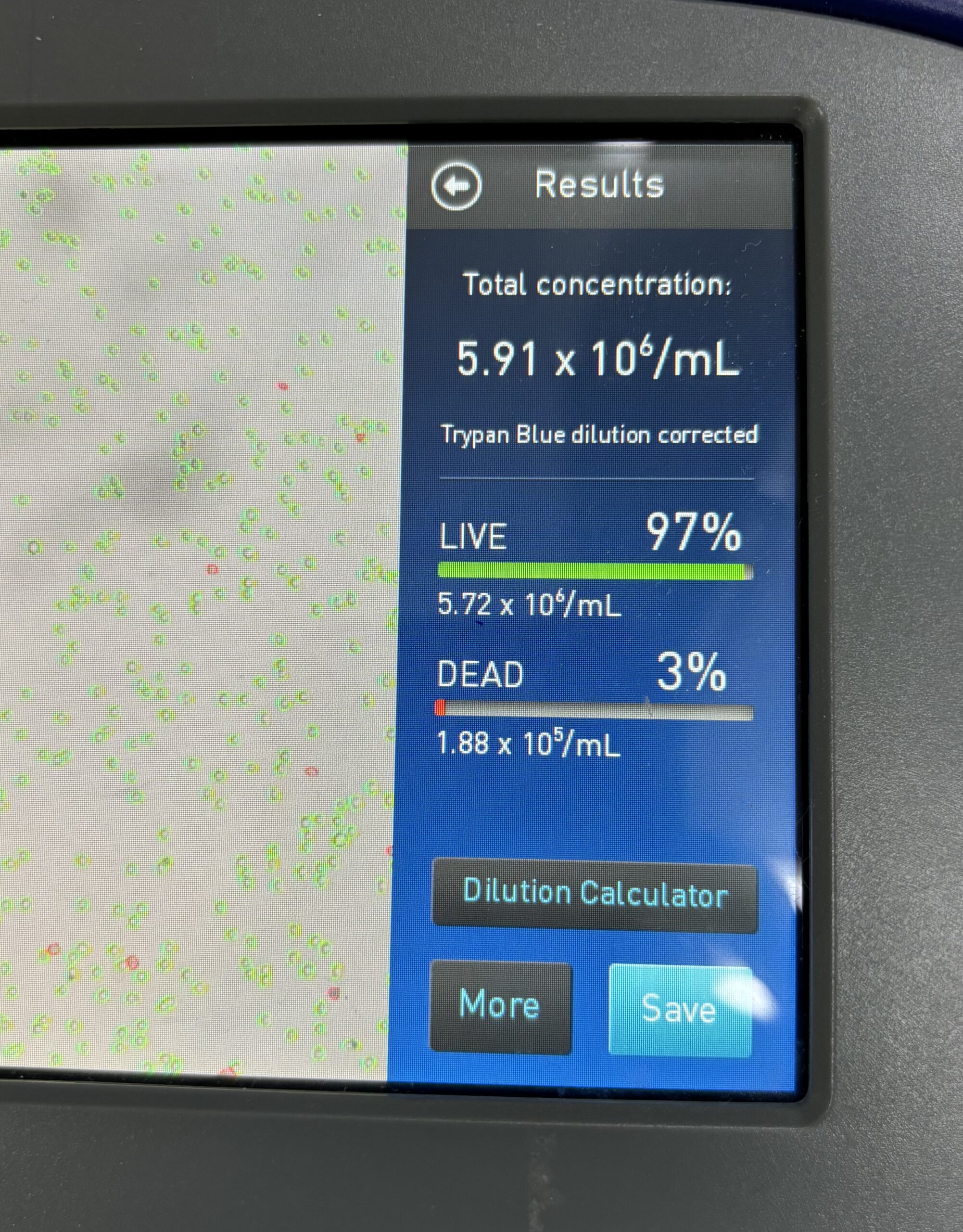 Step by step guide on expiCHO-S cells - SparklyGene